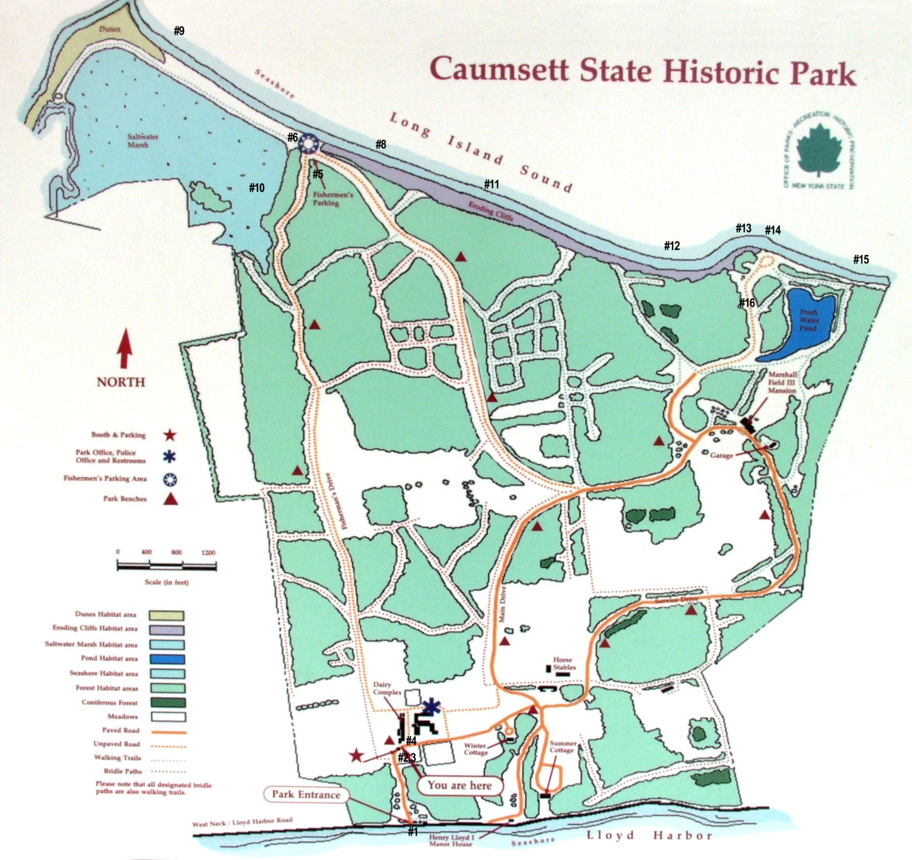 Caumsett Map – Rocksimpson Surf Fishing